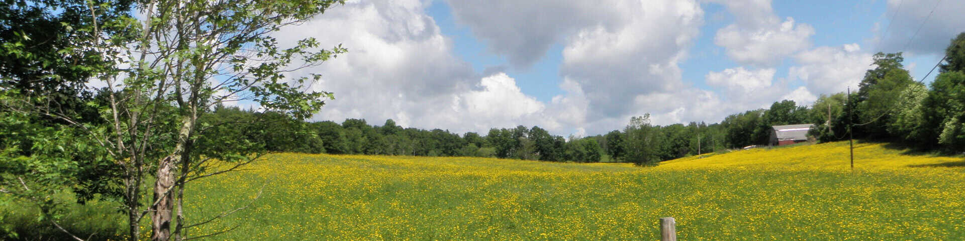 Mary Mitchell Miller Real Estate | Vermont Real Estate Mary Mitchell ...