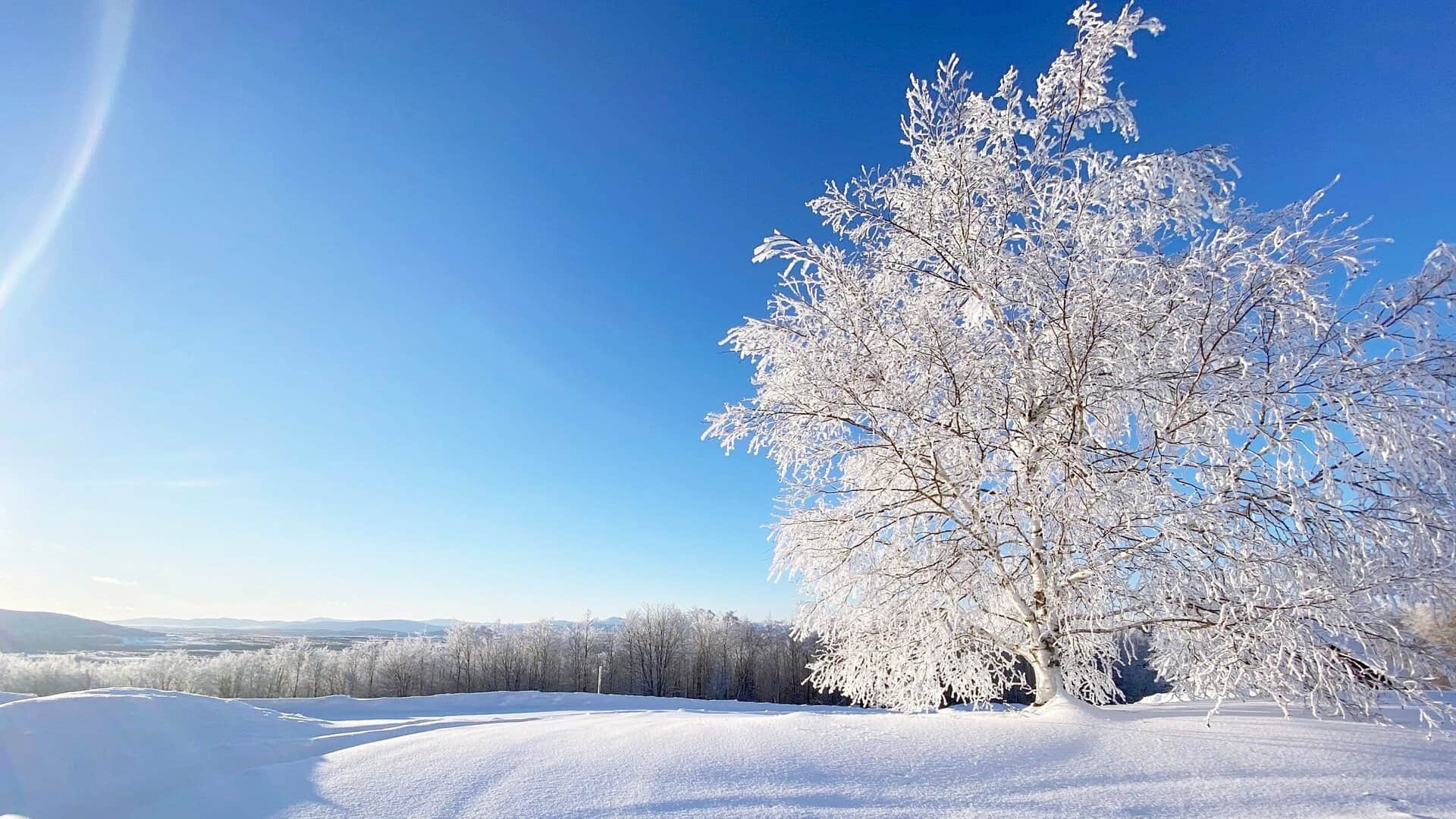 000 Darling Hill Road, Lyndon, VT 05849 | 5074669 | CENTURY 21 Farm ...