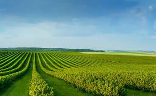 Farms for Sale in Ontario | The Zahnd Team Real Estate Advisors