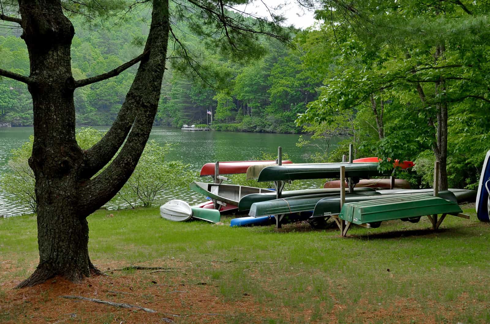 Scaly Mountain NC Area Information | About Scaly Mountain NC