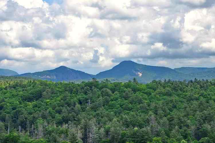 Old Edwards Club at Highlands Cove | Old Edwards Club Real Estate