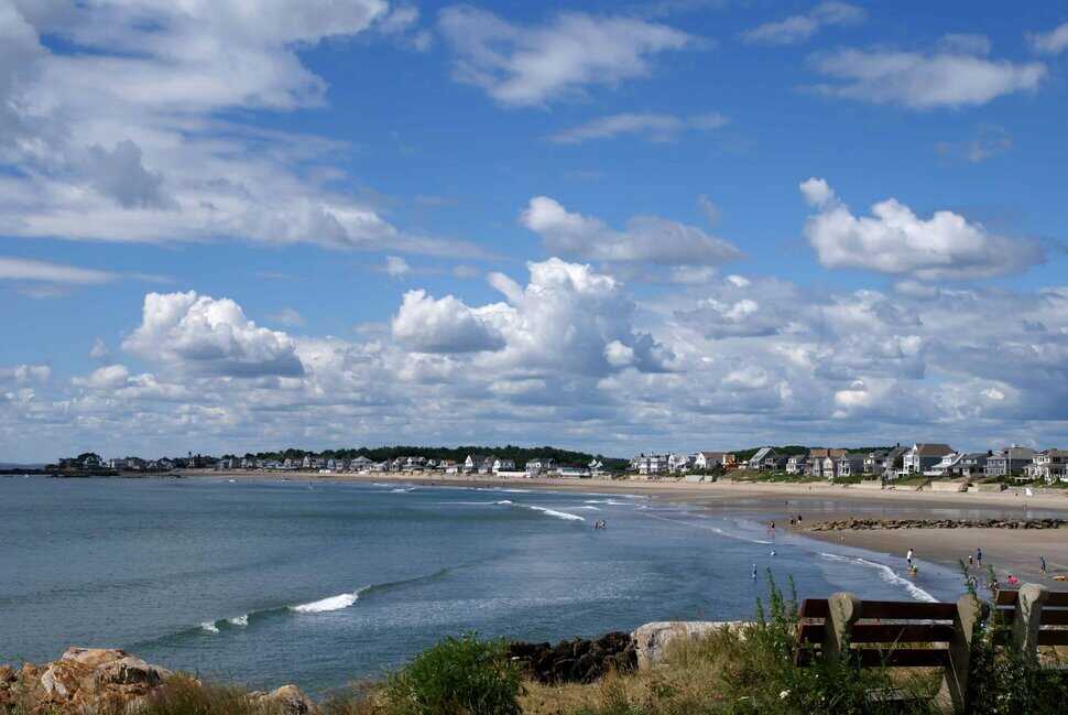 Home Page - Lynne Joyce