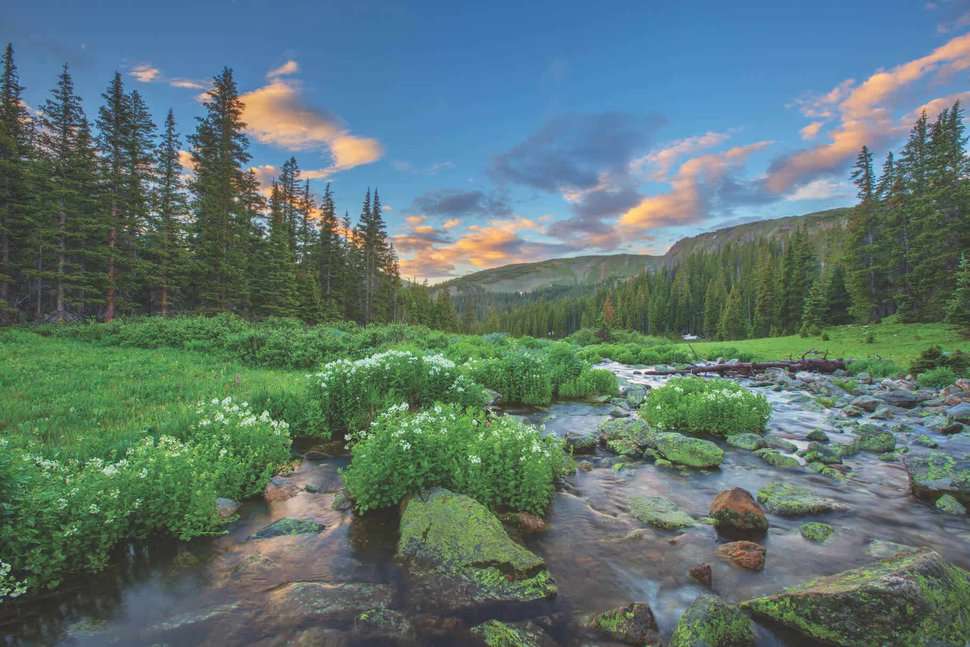 Winter Park Summer Activities Things To Do In Winter Park Real winter-park-summer-activities-things-to-do-in-winter-park-real